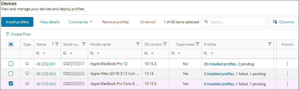View the command log
